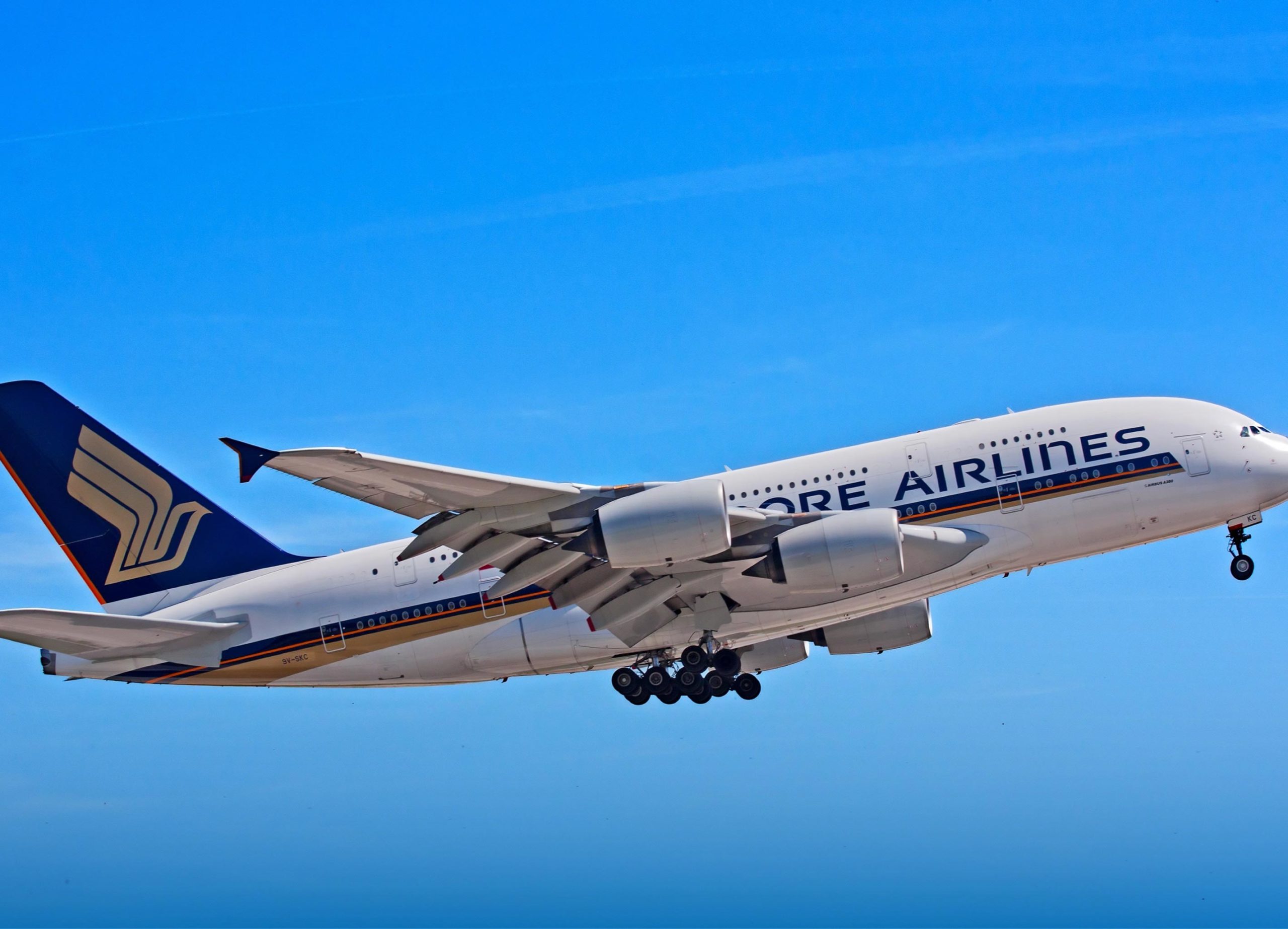 Think China | An Award-Winning Chinese Digital Consulting Agency